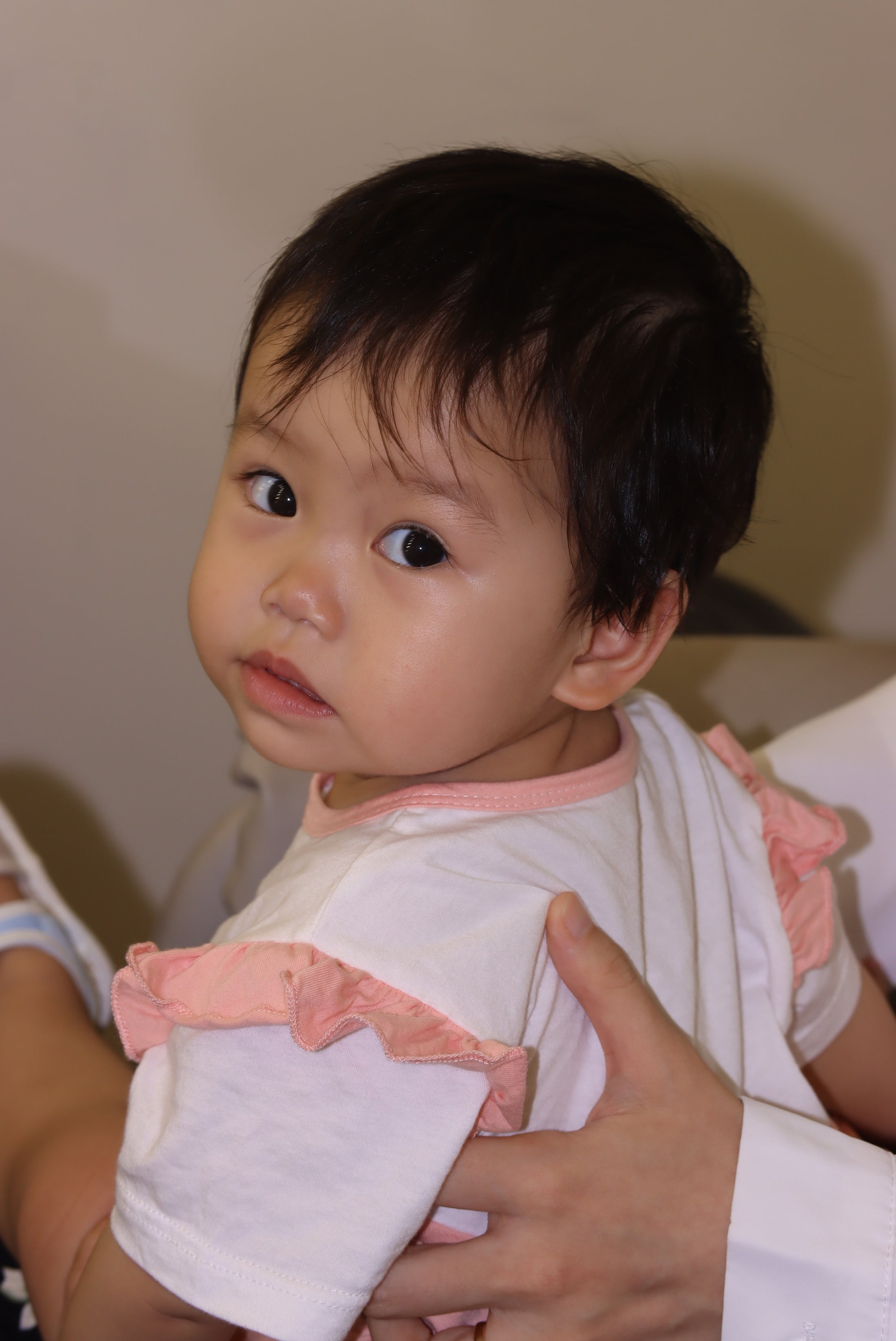 Reflx Lab Simple Flash, Free-shipping