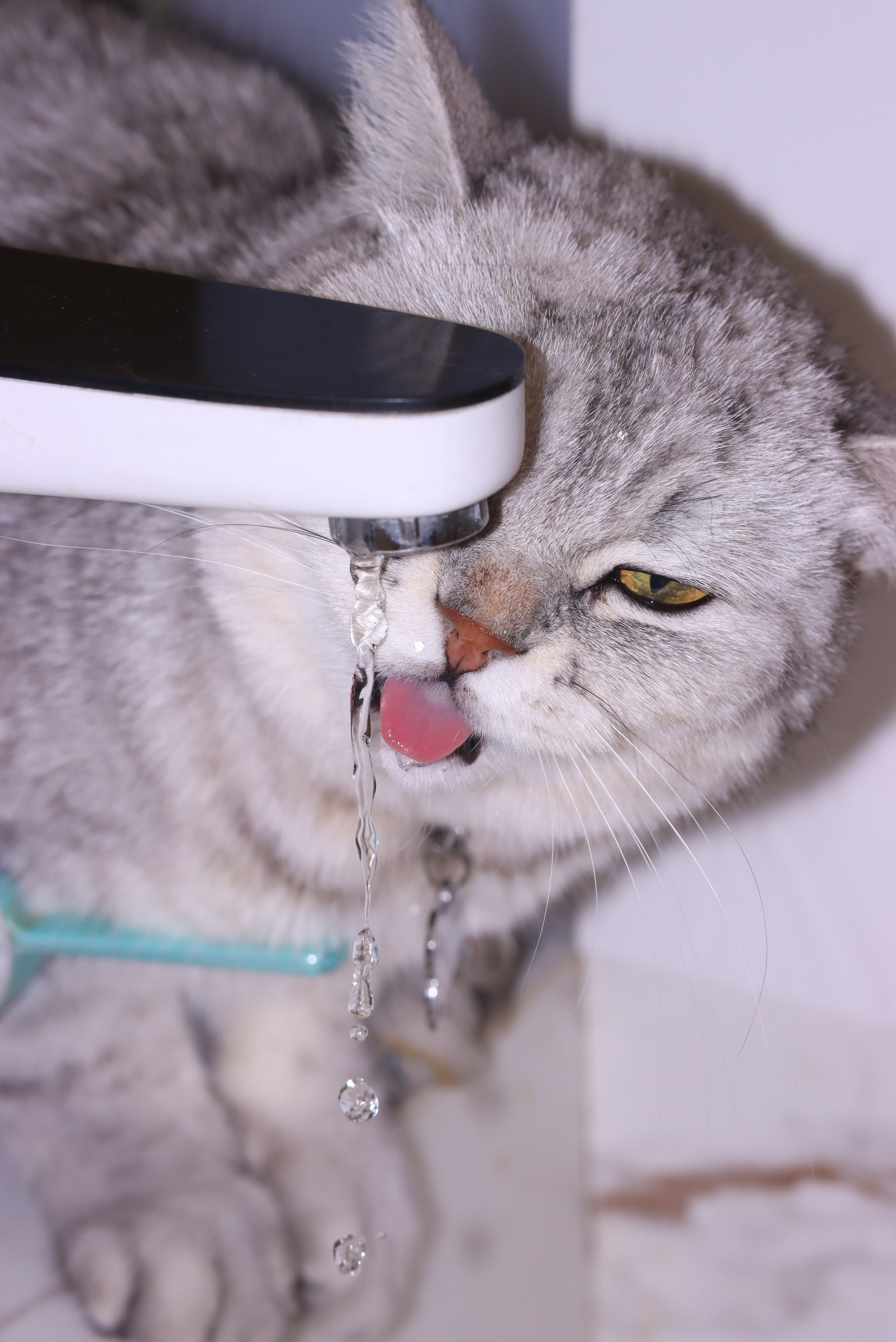 Reflx Lab Simple Flash, Free-shipping