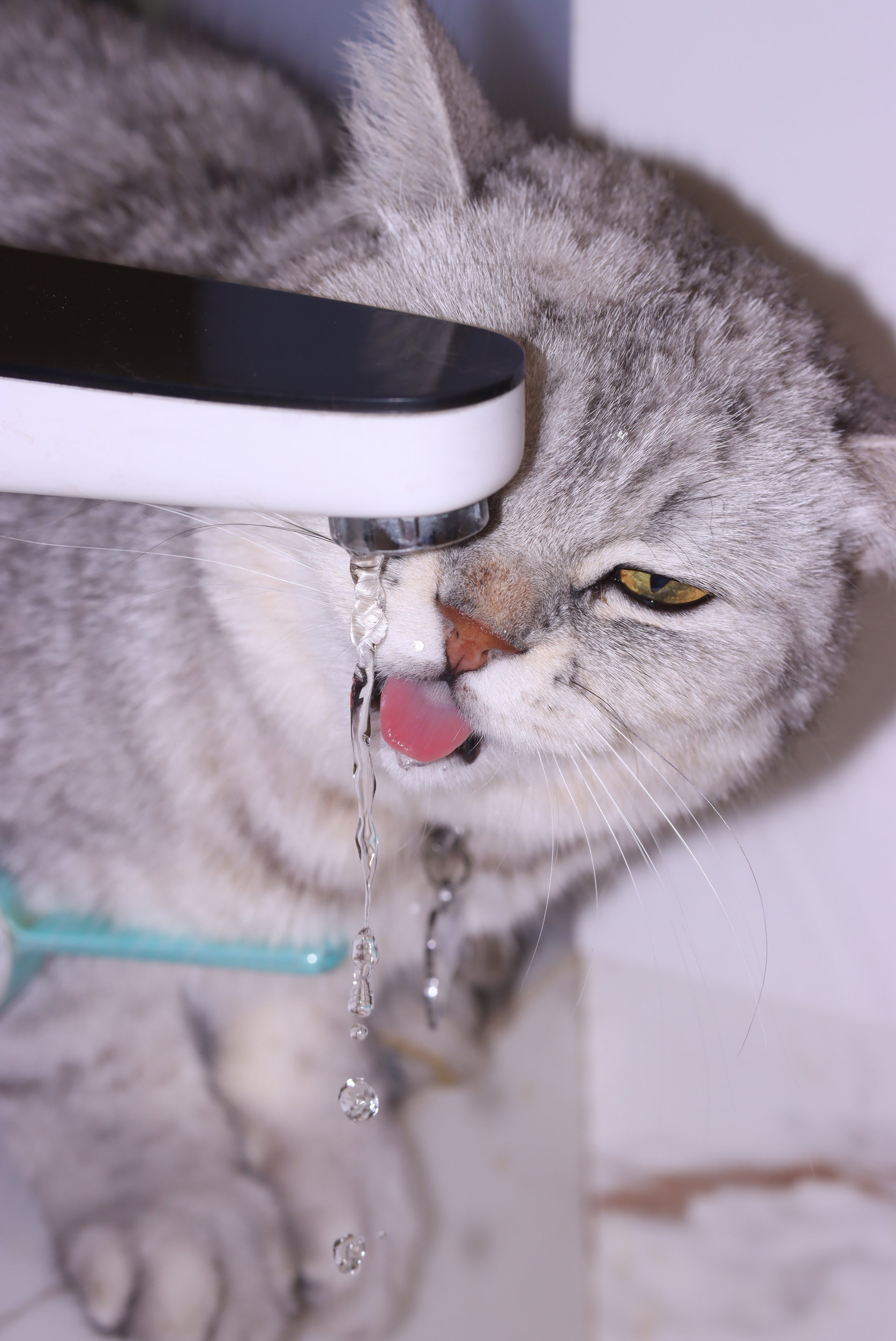 Reflx Lab Simple Flash, Free-shipping