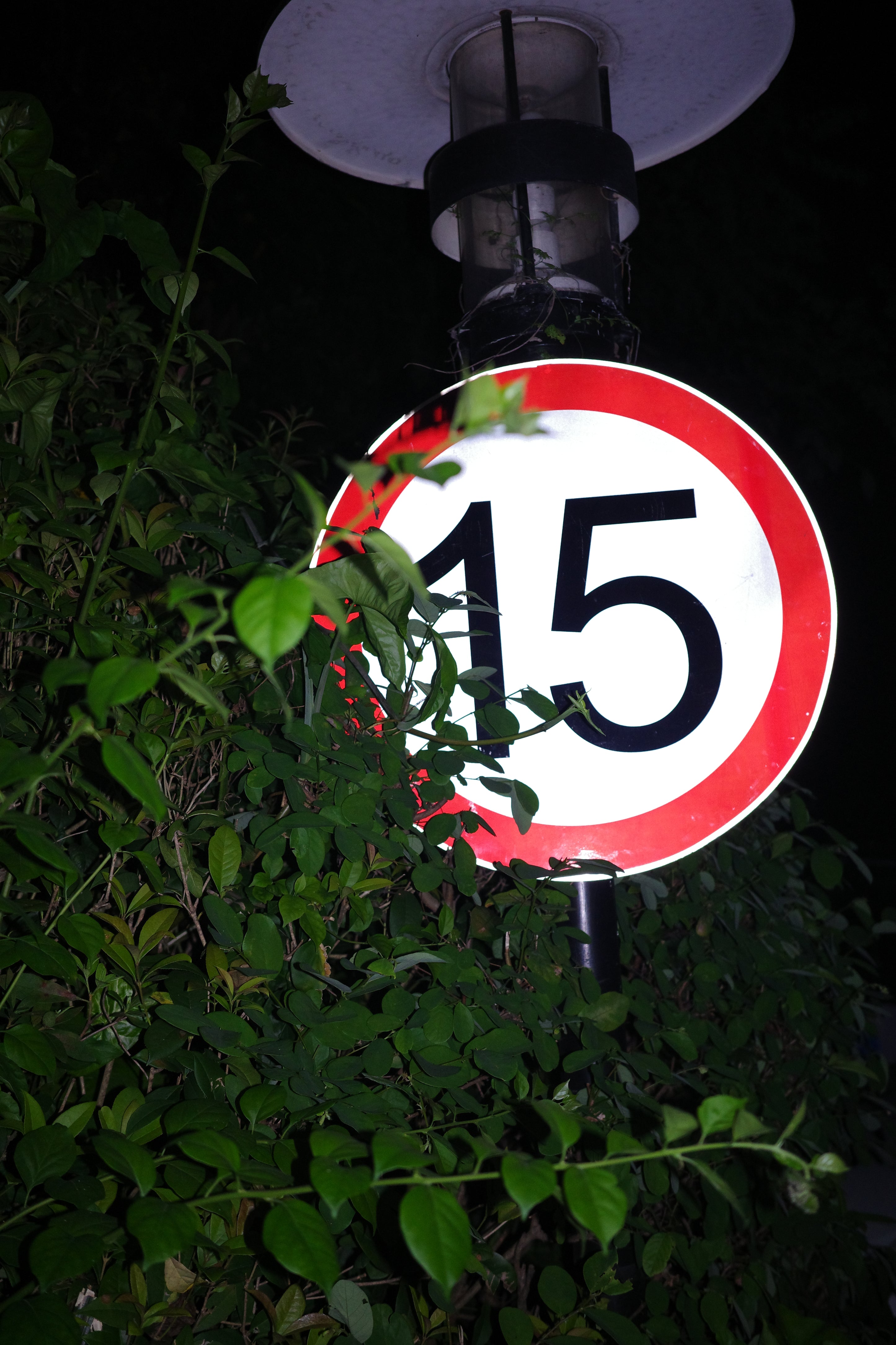 【PRE-ORDER】Reflx Lab Mini Flash Gen2, Free-shipping