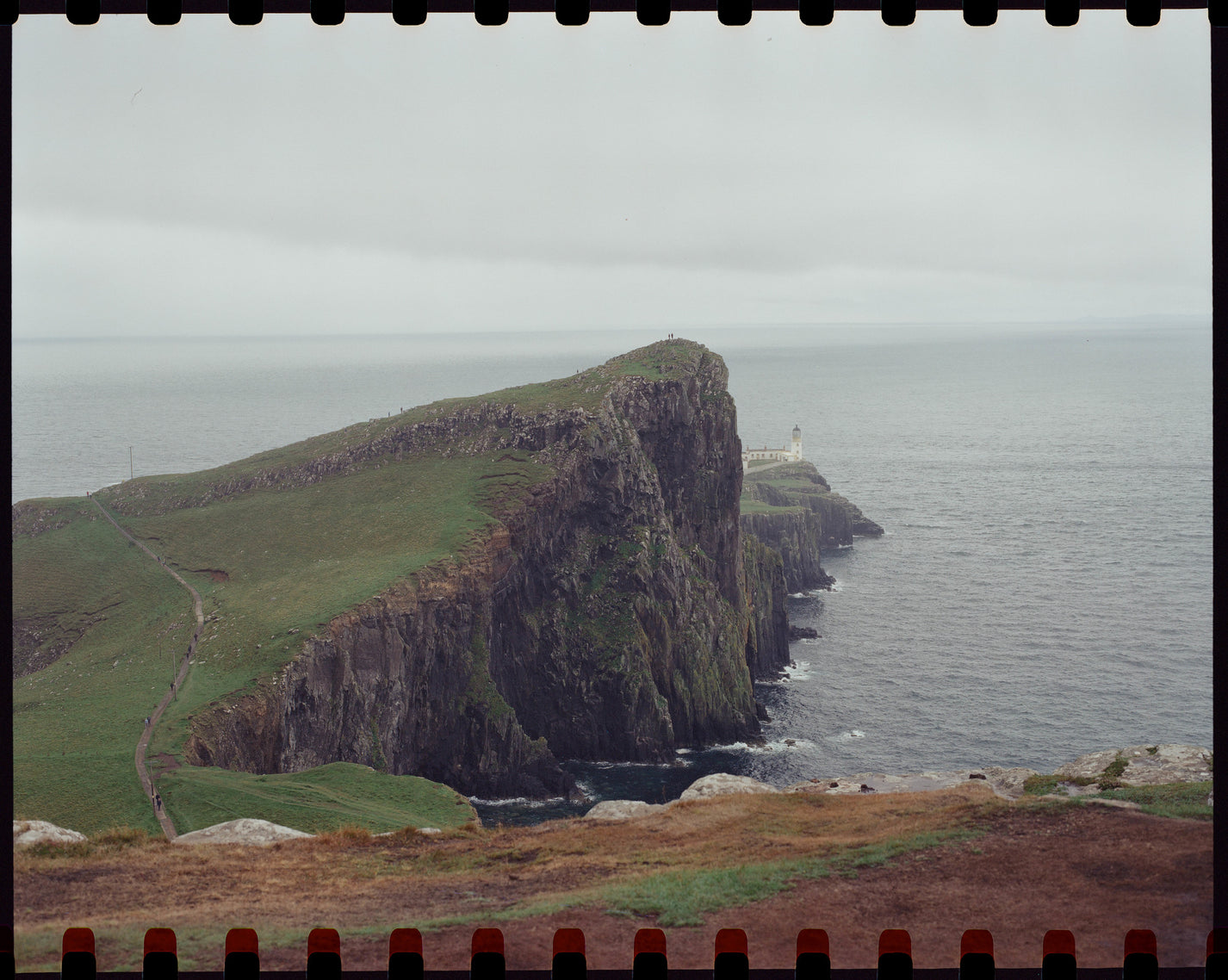 Reflx Lab 250D Color Negative Film (ECN-2) 120