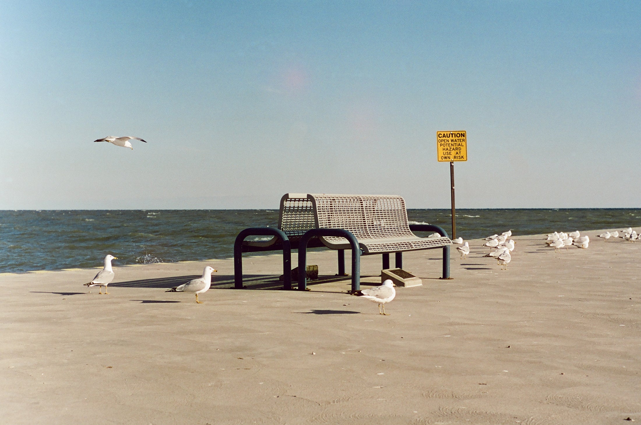 Reflx Lab 100 Daylight 35mm Color Negative Film 36EXP